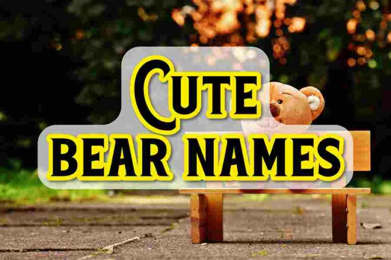 Cute Bear Names: 300 Adorable Names - Red Lasso