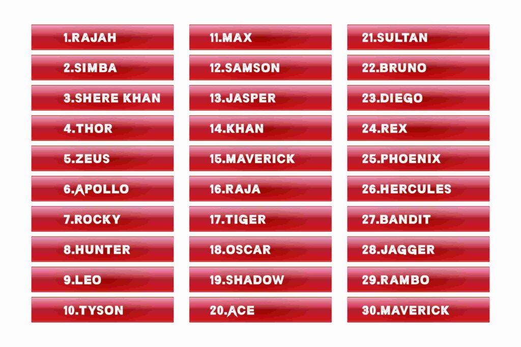 220 Female Tiger Names: Beautiful Female Tiger Names Inspired By The Wild