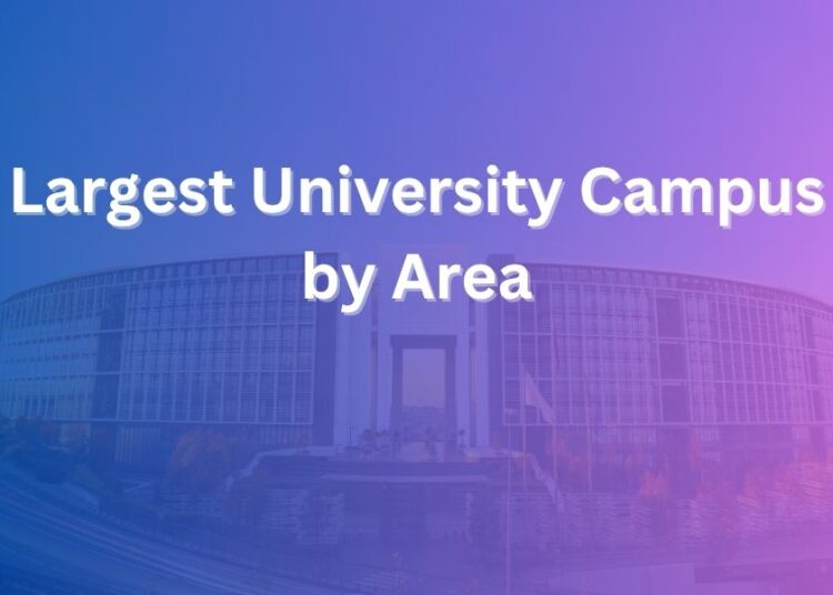 Is Snapchat A Social Media? Things To Know - Red Lasso